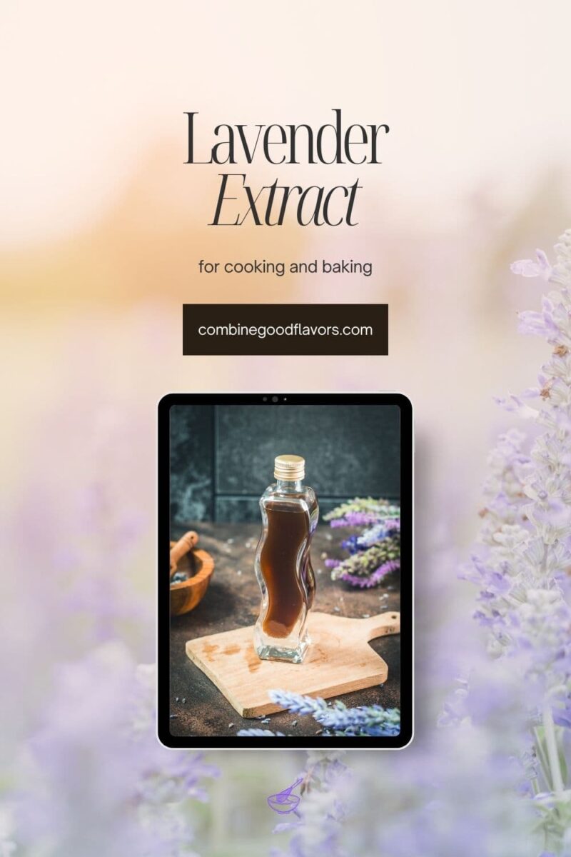 Homemade Lavender Extract {2 Ingredients}