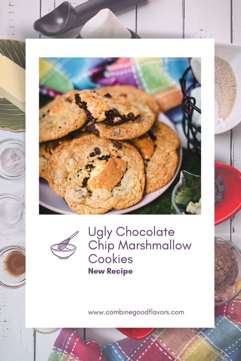 Ugly but Good Chocolate Chip Marshmallow Cookies