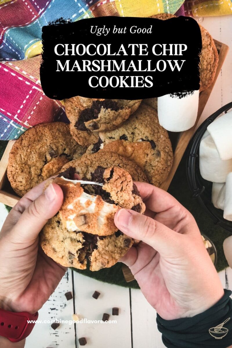 Ugly but Good Chocolate Chip Marshmallow Cookies