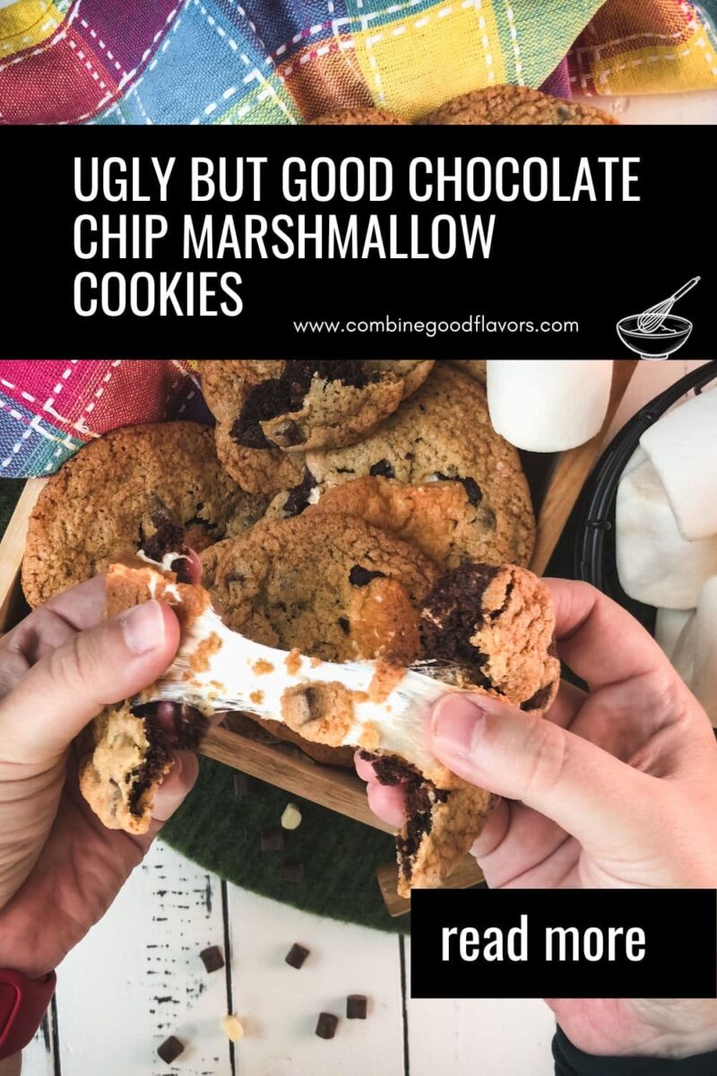 Ugly but Good Chocolate Chip Marshmallow Cookies