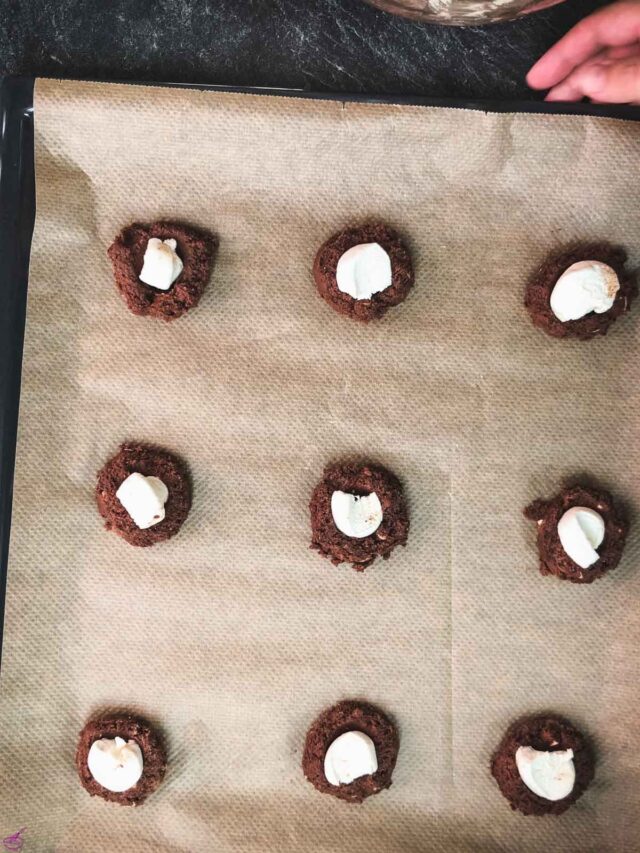 Ugly but Good Chocolate Chip Marshmallow Cookies