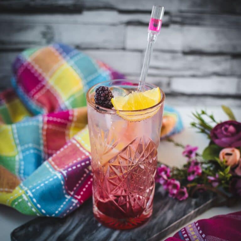 Blackberry Raspberry Gin Fizz