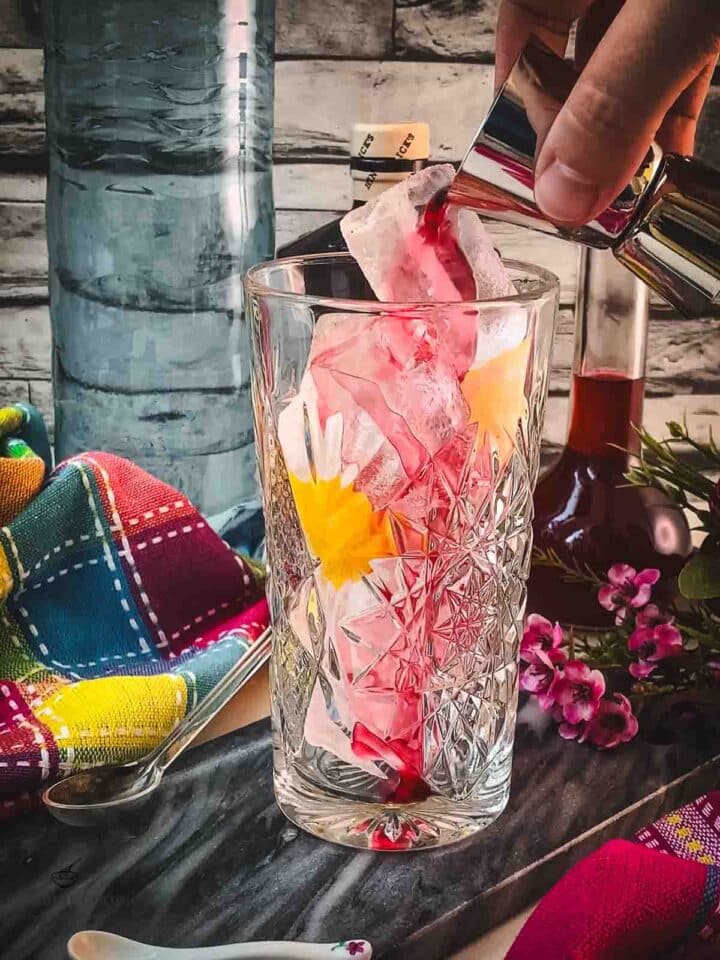 Blackberry Raspberry Gin Fizz
